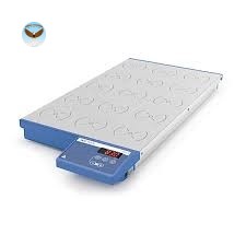 Máy khuấy từ IKA RT 15